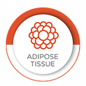 Home Page - ExtremityCare