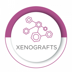 We Care About You - ExtremityCare